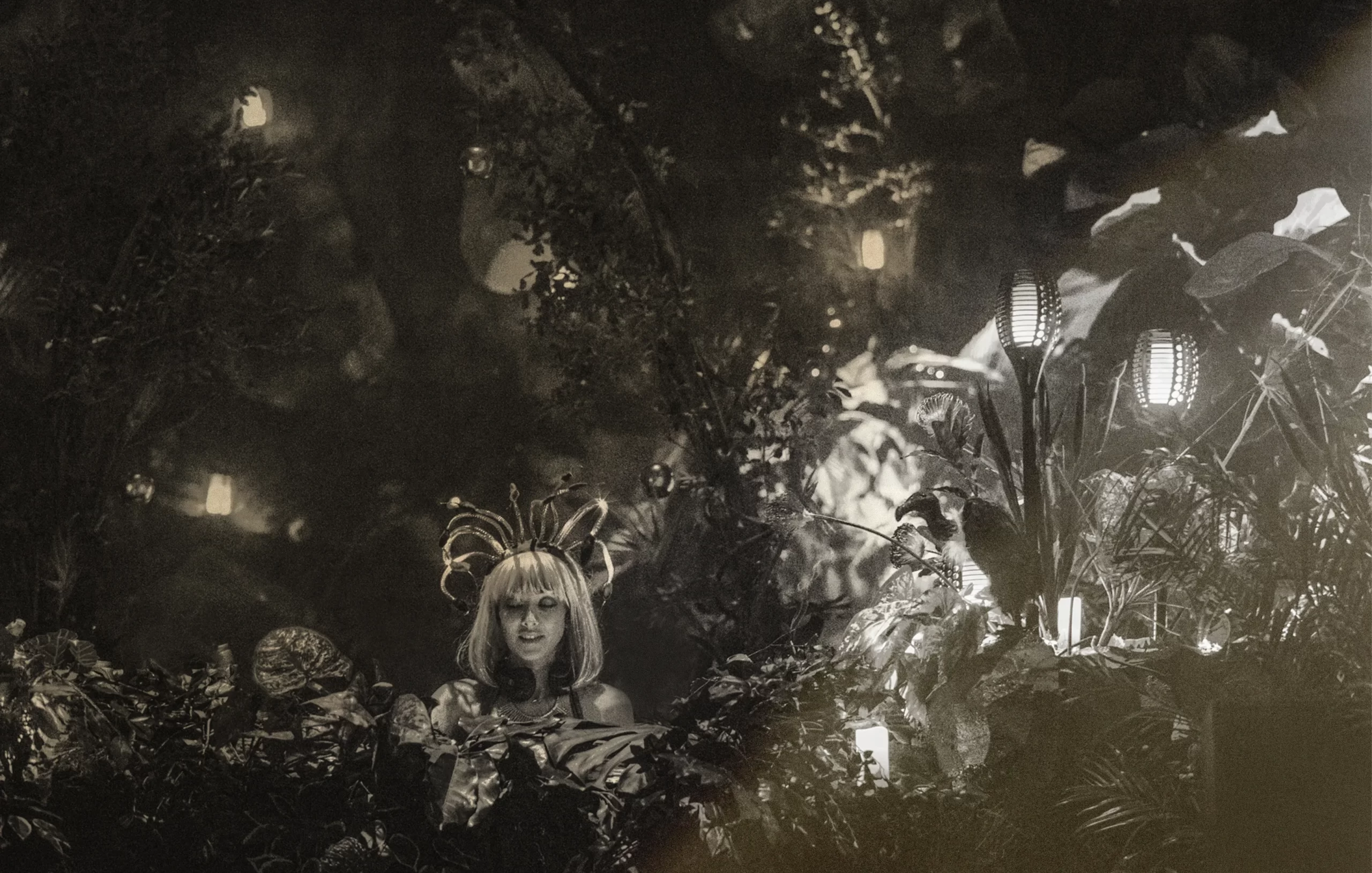 RoCa Gallery Demo - WordPress gallery plugin demo by Aran Ariel