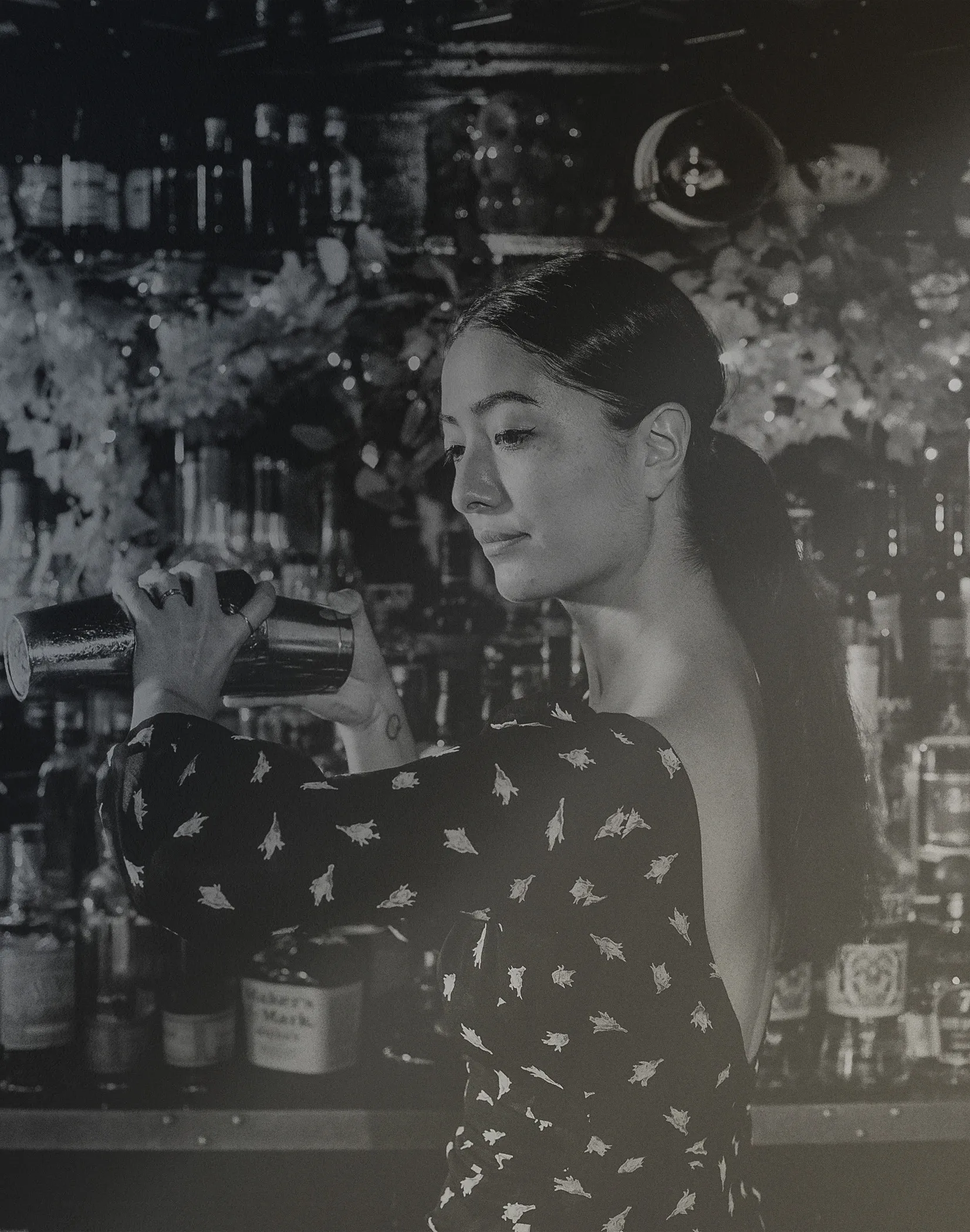 RoCa Gallery Demo - WordPress gallery plugin demo by Aran Ariel